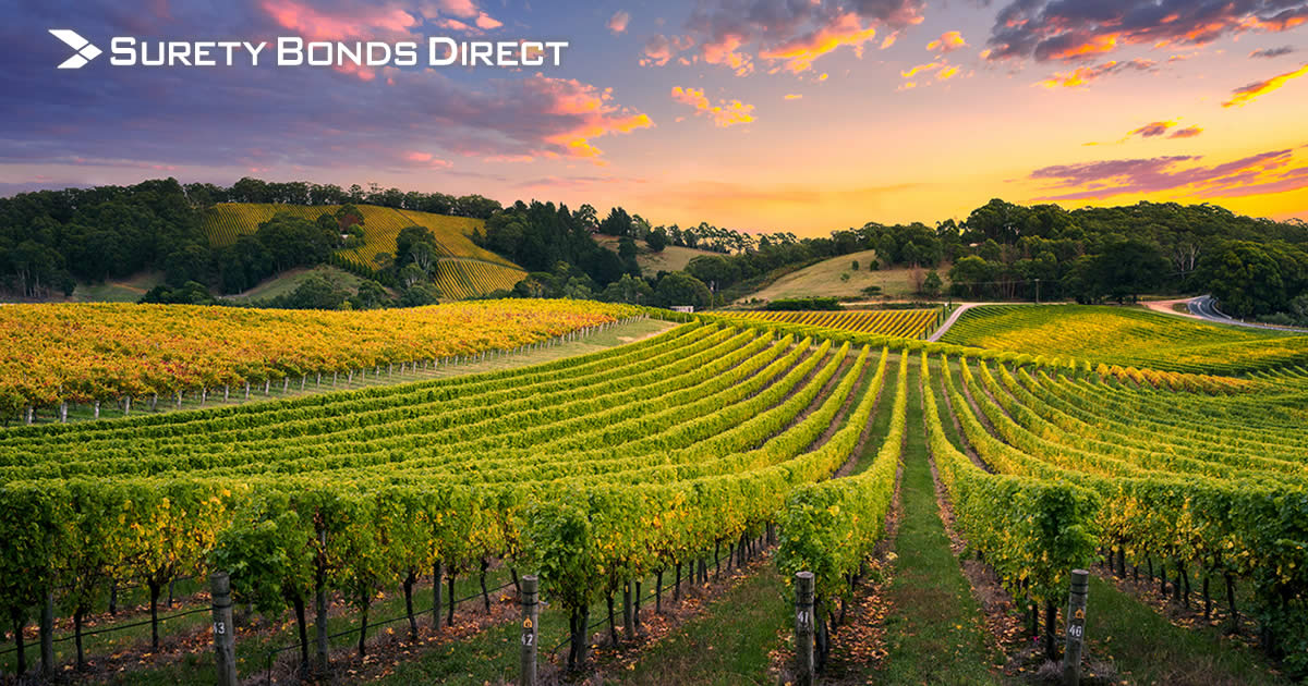 Washington Domestic Winery License Bond | Surety Bonds Direct